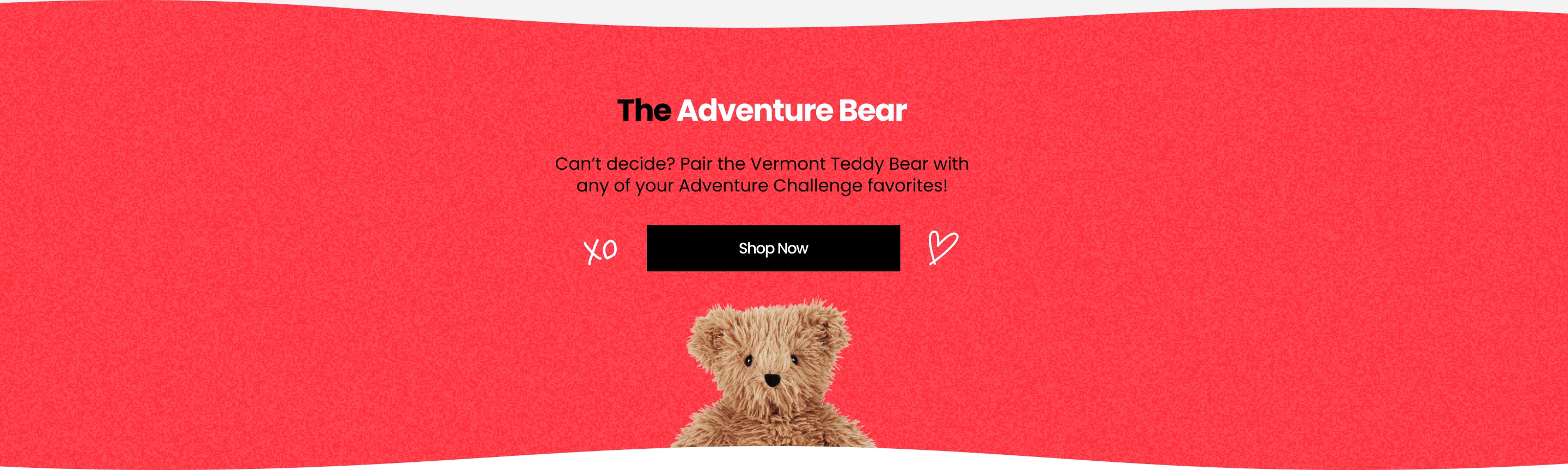 Comfort and Connection Bear Bundles – The Adventure Challenge